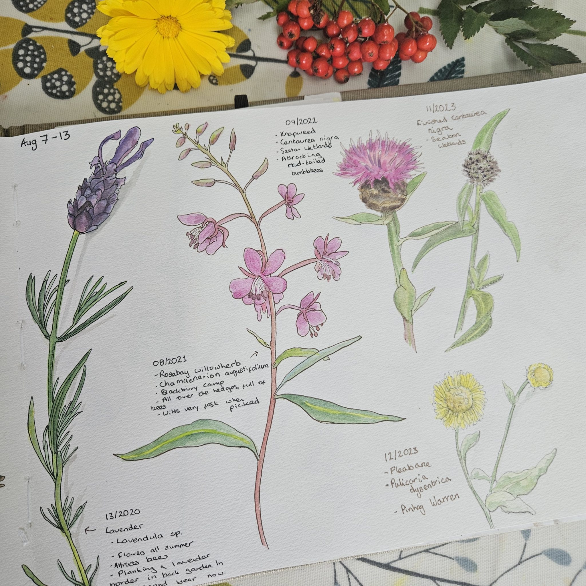 Introduction to Derwent Inktense Pencils ⋆ ThimbleStitch at Zoë’s